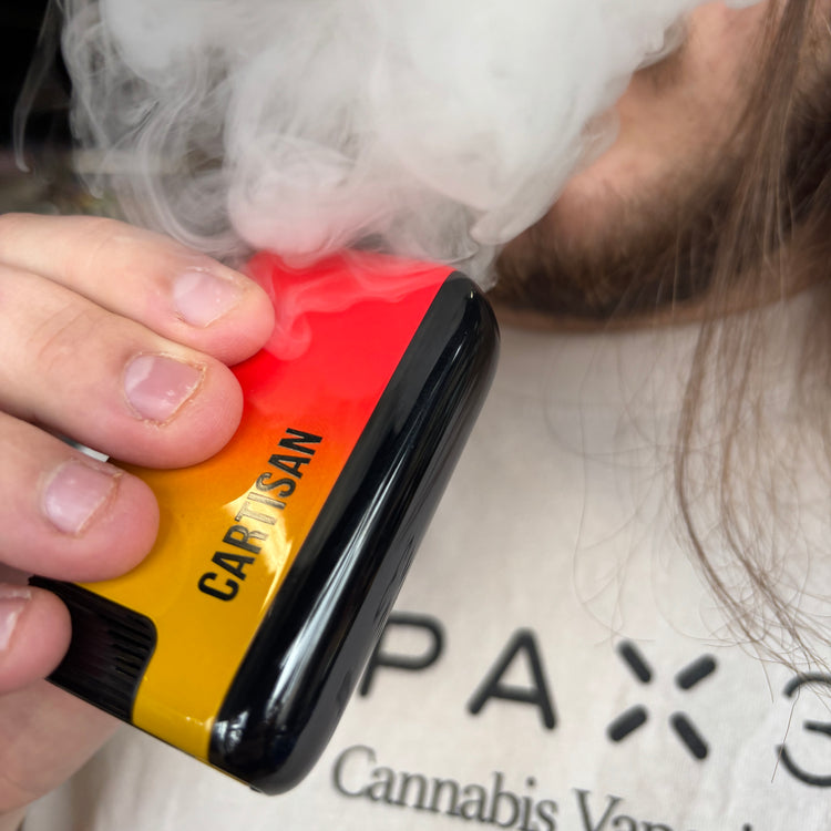 Sunshine Daydream | The Best Hippie Smoke Shop for 30 Years